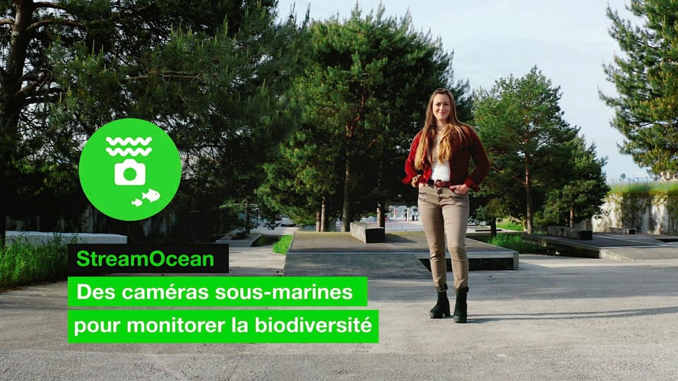 Prix du public - Venture 2023 : StreamOcean : des caméras sous-marines ...