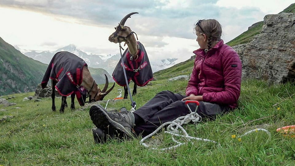 Isaline, poussière d'étoile - Sur les Docs - Play RTS