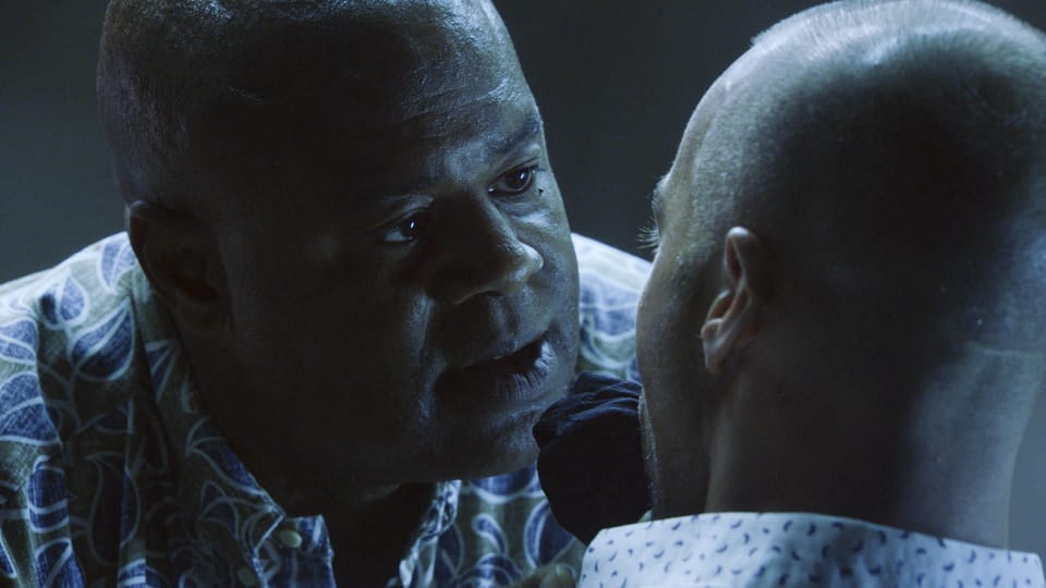 A'ole E'Olelo Mai Ana Ke Ahi Ua Ana Ia (Episode 1 - Saison 8) - Hawaii ...
