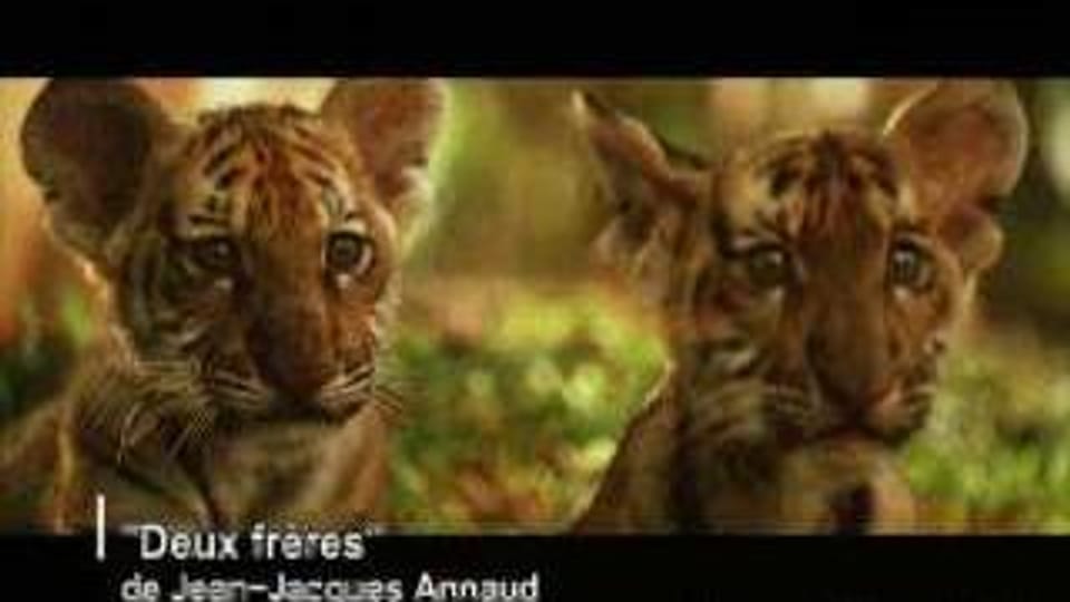"Deux frères", le nouveau film de Jean-Jacques Annaud - 12h45 - Play RTS
