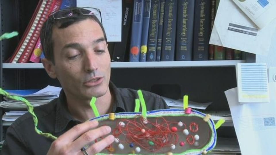 Dr Karl Perron Bactériologiste, UNIGE - RTS Éducation - Play RTS