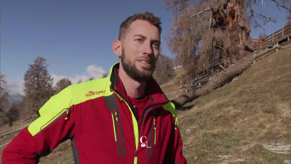 Entretien avec Julien Fournier, garde forestier adjoint du triage ...
