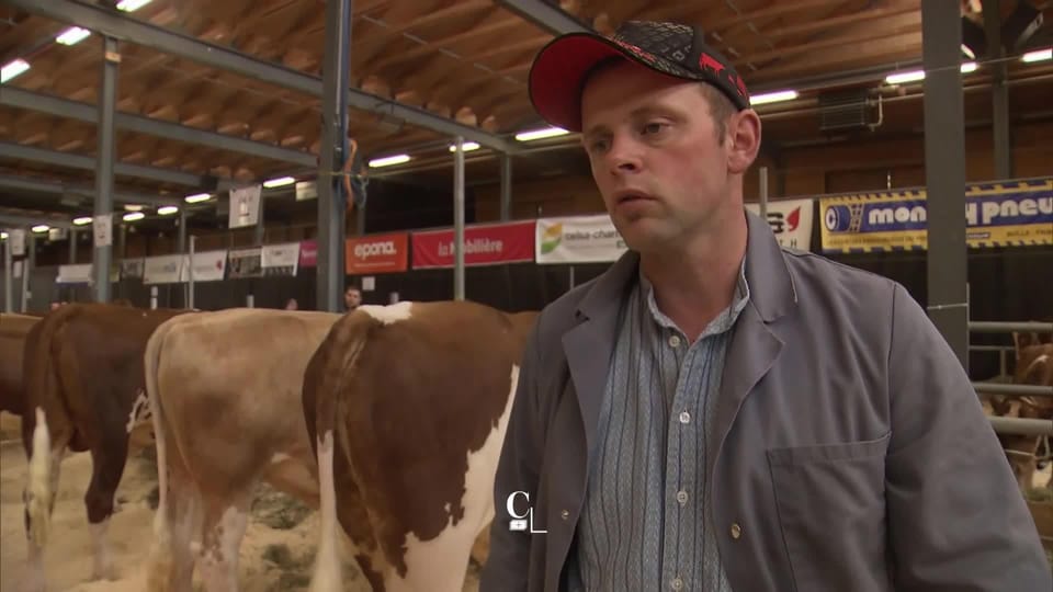 Entretien avec Bruno Beyeler, éleveur - Couleurs locales - Play RTS