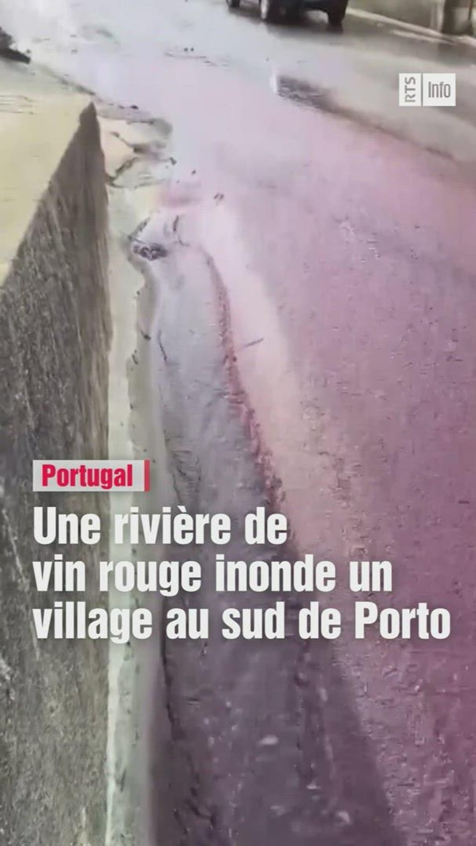Une rivière de vin rouge inonde un village au Portugal - L'actu en ...