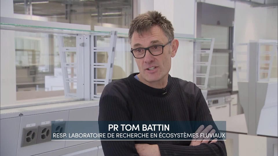 Entretien avec Pr. Tom Battin, responsable Laboratoire de recherche en ...
