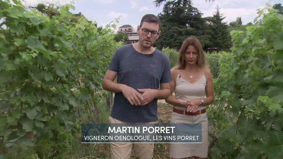 Entretien avec Martin Porret, vigneron œnologue chez "Les Vins Porret ...