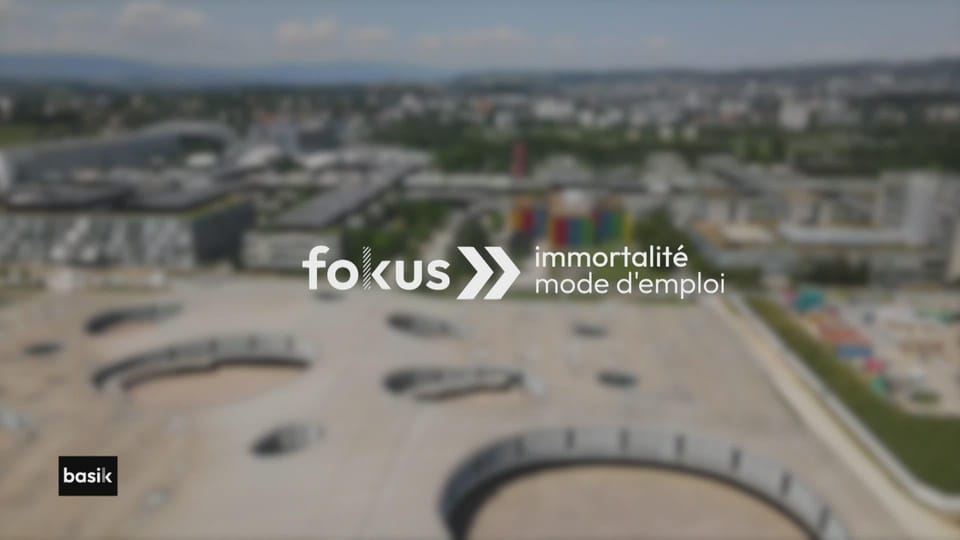 fokus : immortalité mode d'emploi - basik - Play RTS