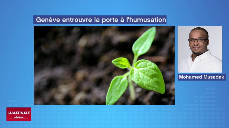 L’humusation, ou finir en compost après son décès, plutôt qu’être ...