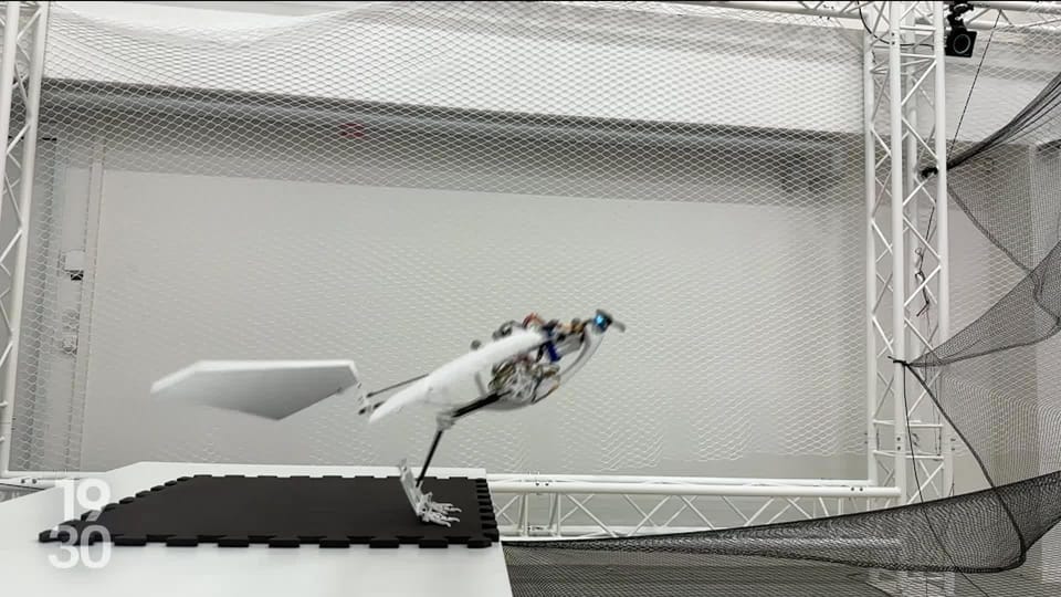 L'Ecole polytechnique fédérale de Lausanne a développé le premier robot ...