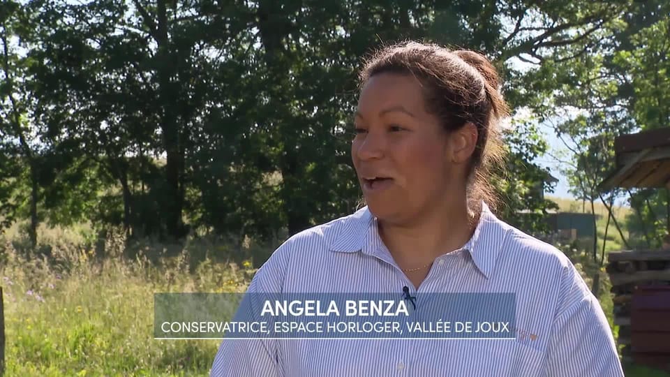Entretien avec Angela Benza, conservatrice à l’Espace Horloger dans la ...