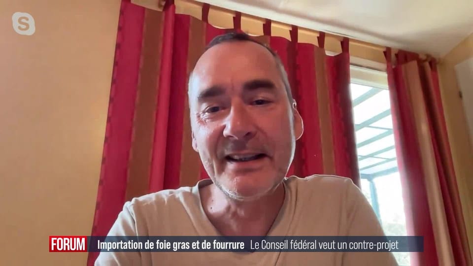 Contre-projet du Conseil fédéral à l’initiative sur l’interdiction d ...