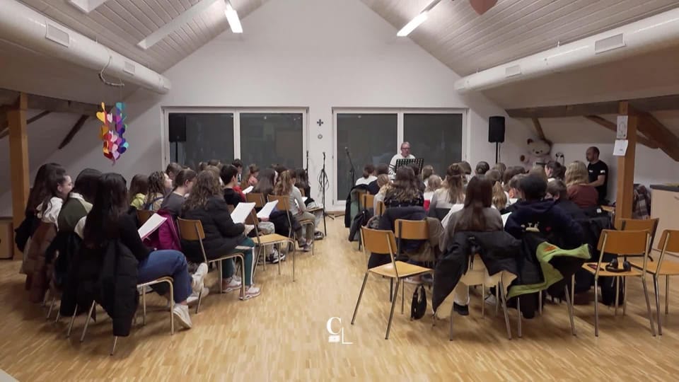 Fondée en 1981 à Courroux dans le Jura, le Groupe Harlem est aujourd ...