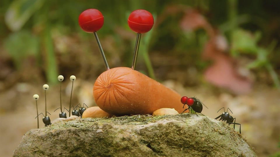 Minuscule - Saison 2 (6/71) - Saucisse predator - Play RTS