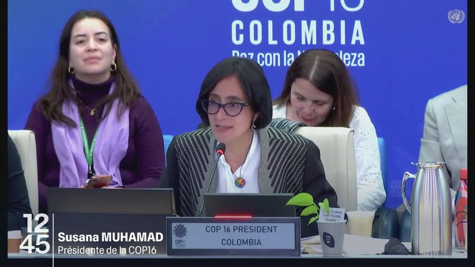 La COP 16 a réussi à adopter à Rome un plan pour financer la ...