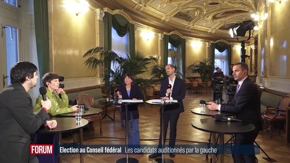 Les réactions après l’audition des candidats au CF: débat entre Lisa ...