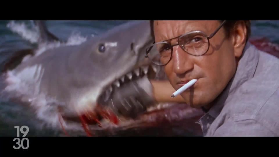 Le film culte "Les Dents de la mer" de Steven Spielberg fête ses 50 ans ...