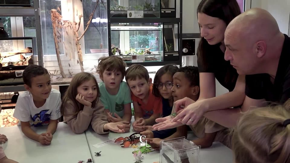 Un nouvel insectarium au Locle organise des ateliers pour sensibiliser ...