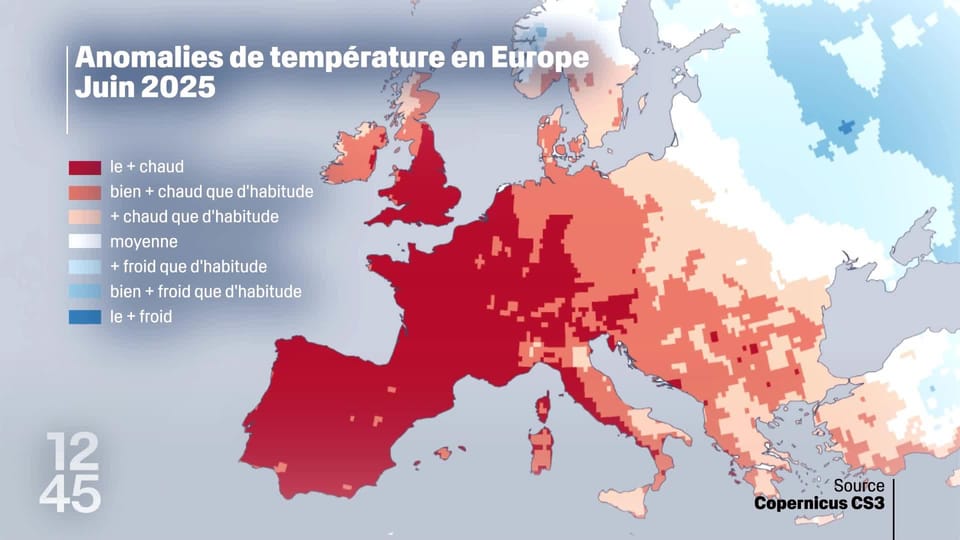 Les effets désastreux des canicules sur la faune et la flore de la ...