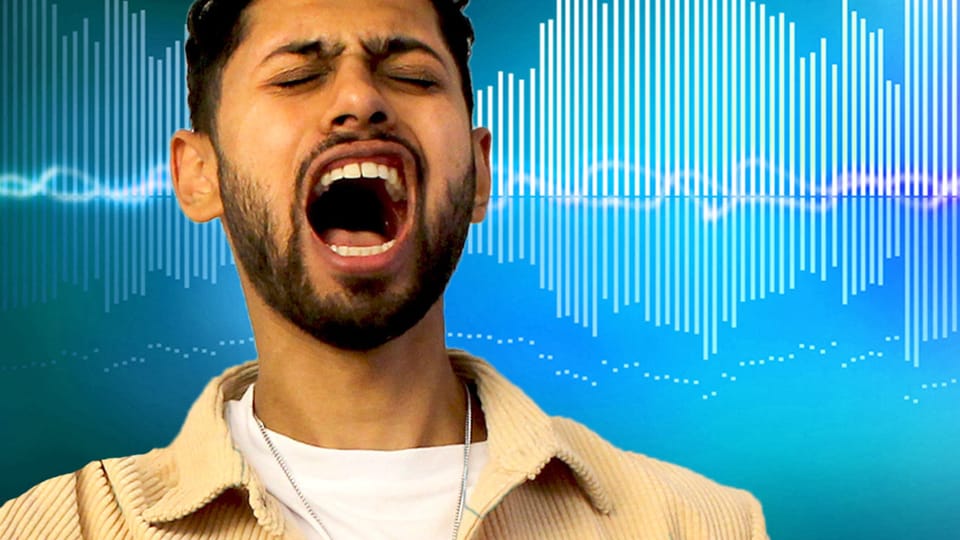 Puls Check - Geheimnis der Stimme: Wie sie funktioniert und auf andere ...