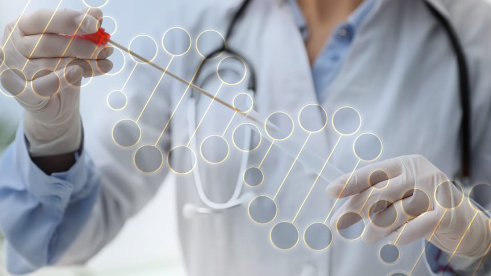 DNA-Analyse: Das Wallis macht genetische Ahnenforschung - News - SRF
