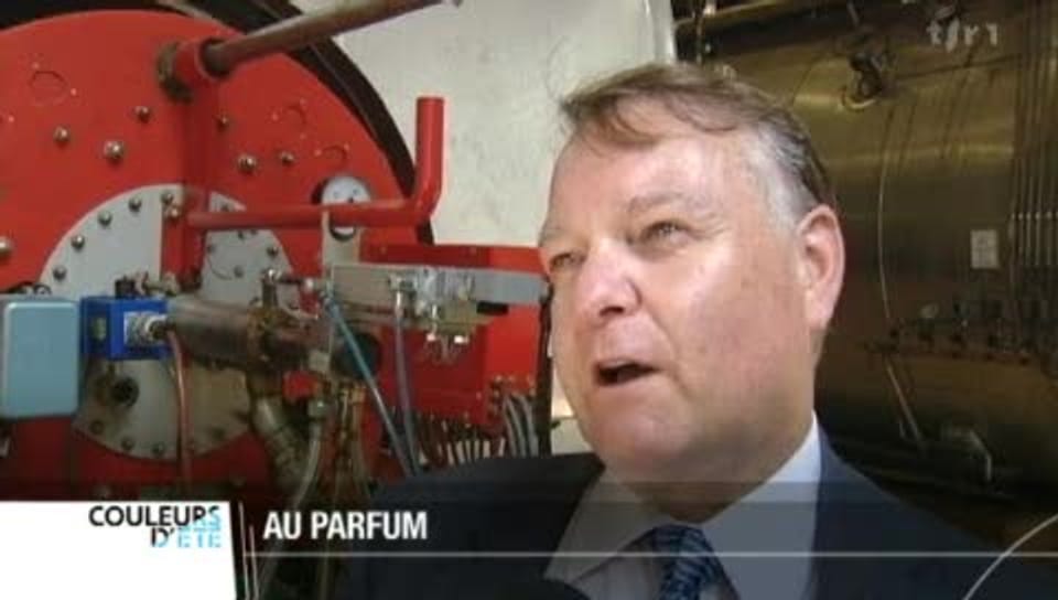 Couleurs d'été - Le Rhône (Ge): immersion dans la société Givaudan ...