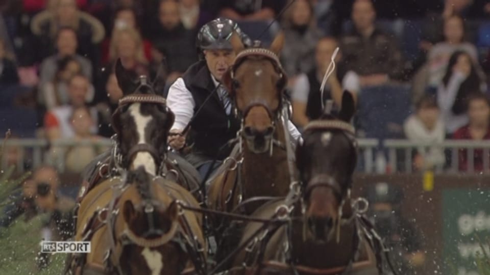 Hippisme - Coupe du monde d'attelage, finale: 3ème place pour Christoph ...
