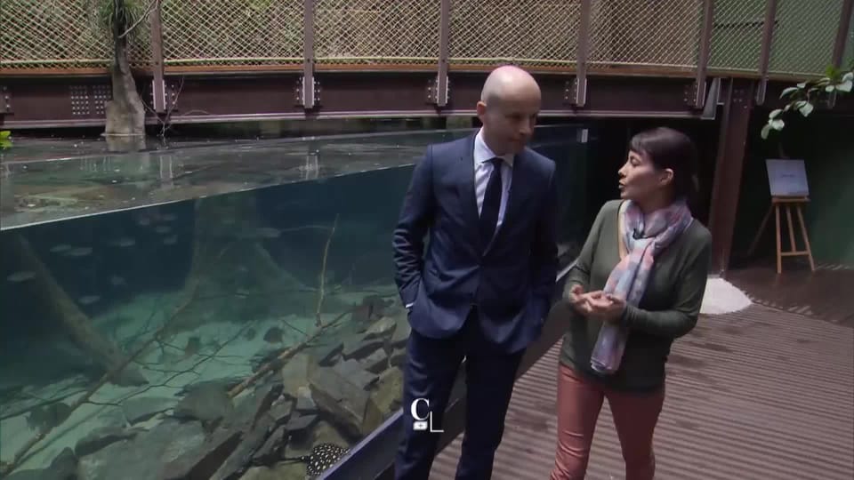 Couleurs locales - Aquatis: entretien avec Quentin Delohen, Directeur d ...