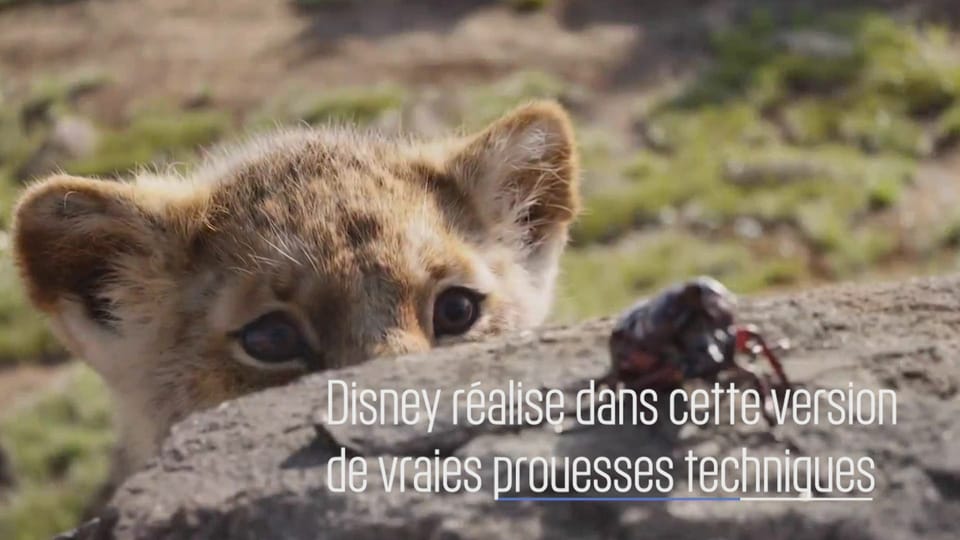 RTSculture - "Le Roi lion" ou l'art du recyclage par Disney - Play RTS
