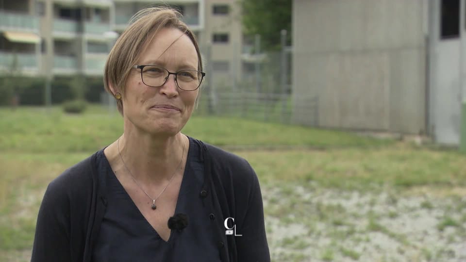 Couleurs d'été - Interview d'Anne Philipona, historienne. - Play RTS