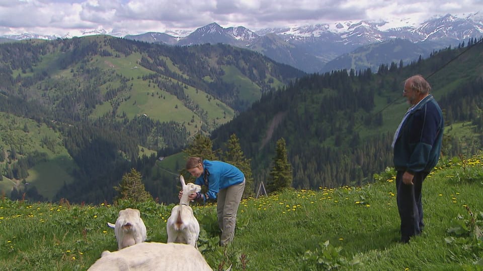 Refuges de montagne - Saison 2013 - Frissons en altitude (1/4) - Play RTS