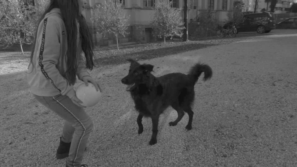 Collection Lockdown - by Swiss filmmakers - Aria - Play RTS