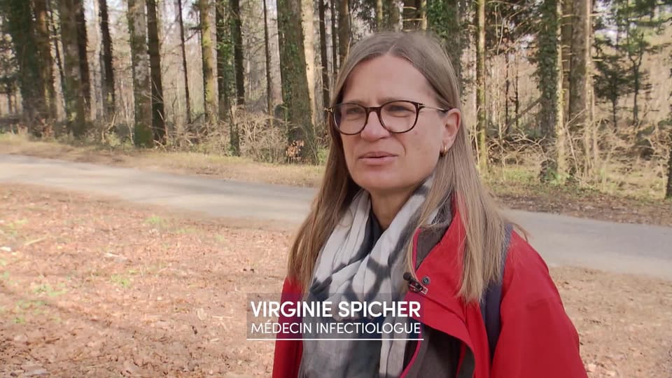 Couleurs locales - Le coin de paradis de Virginie Spicher - Play RTS