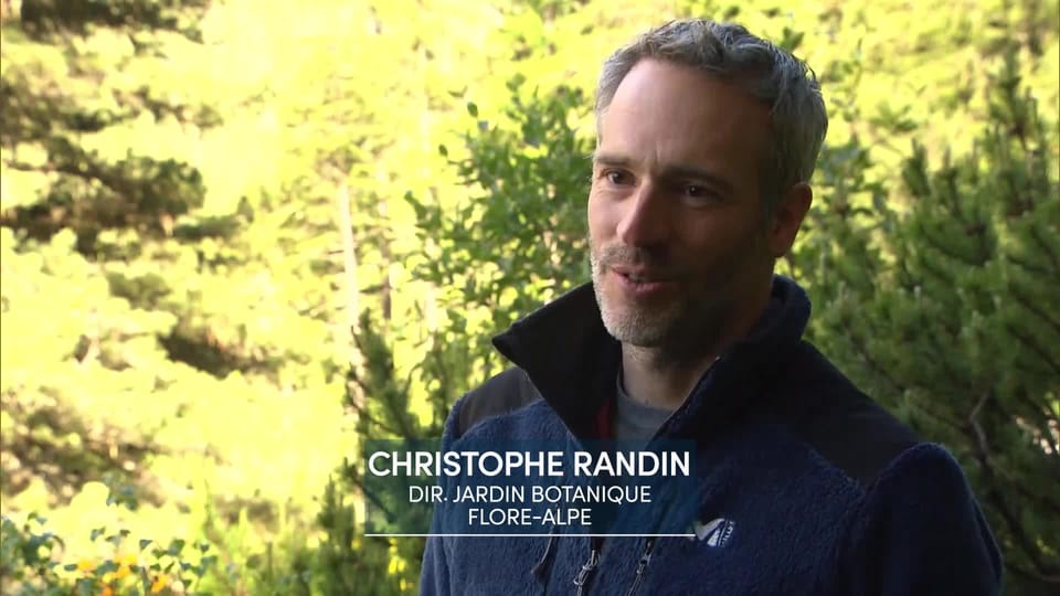 Couleurs locales - Entretien avec Christophe Randin, directeur du ...