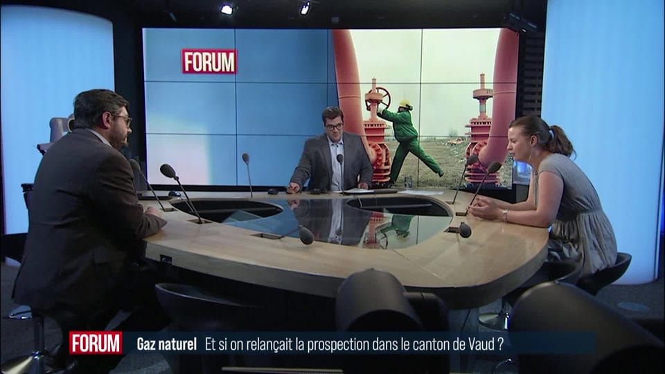 Forum - Faut-il relancer la prospection et l'exploitation de gaz ...