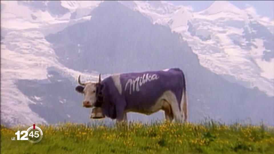 12h45 - La vache Milka fête ses 50 ans cette année, grâce à un coup de ...