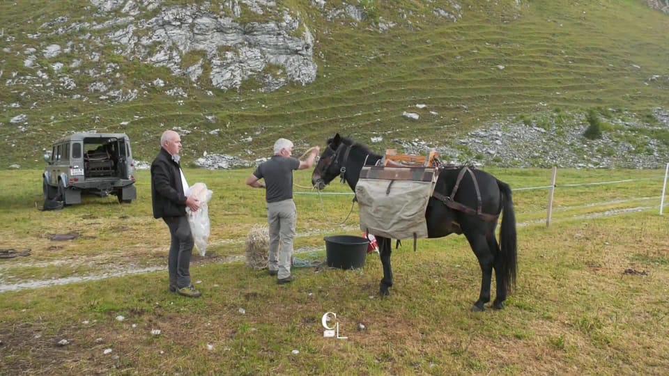 Couleurs locales - Une association fribourgeoise fait revivre le métier ...