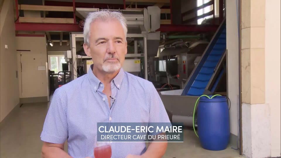 Couleurs locales - Entretien avec Claude-Eric Maire, Directeur cave du ...