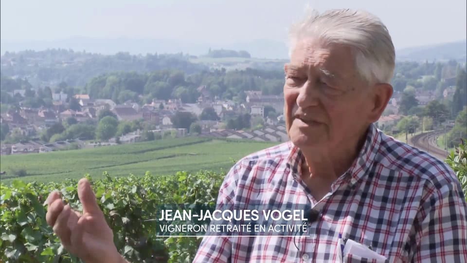 Couleurs locales - Entretien avec Jean-Jacques Vogel, vigneron retraité ...