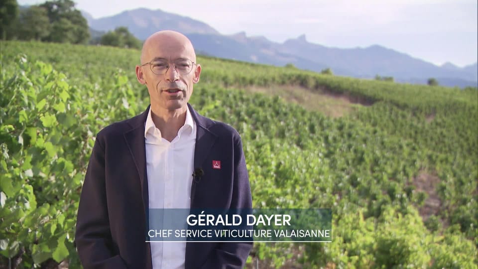 Couleurs locales - Entretien avec Gérald Dayer, chef service ...