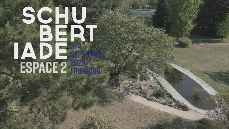 RTSculture - Schubertiade - Episode 1 - Portrait de Jonathan Gerstner ...