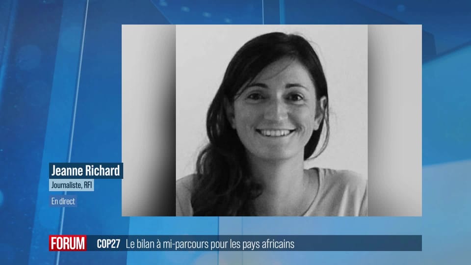 Forum - Les pays africains ont su se faire entendre à la COP27 ...