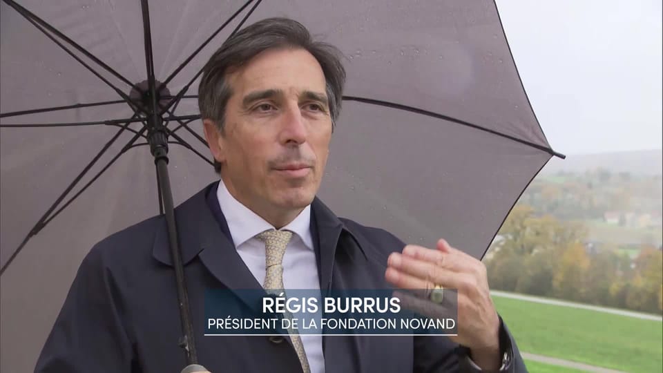 Couleurs locales - Entretien avec Régis Burrus, président de la ...