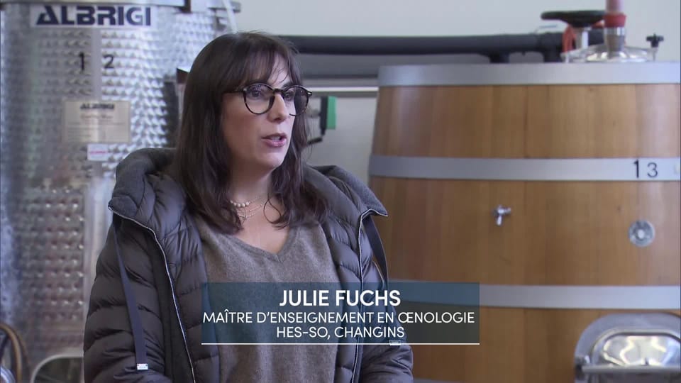 Couleurs locales - Entretien avec Julie Fuchs, maître d’enseignement en ...