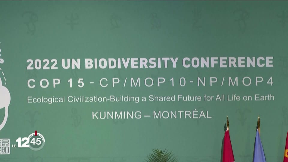 12h45 - 30% minimum des surfaces de la planète devront être protégées d'ici 2030, mais l'accord ...