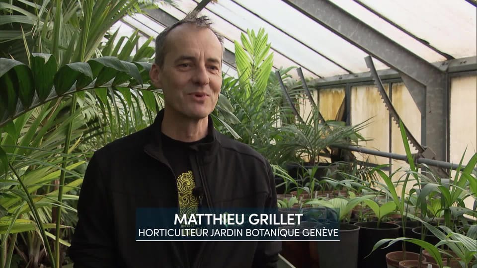 Couleurs locales - Entretien avec Matthieu Grillet, horticulteur Jardin ...