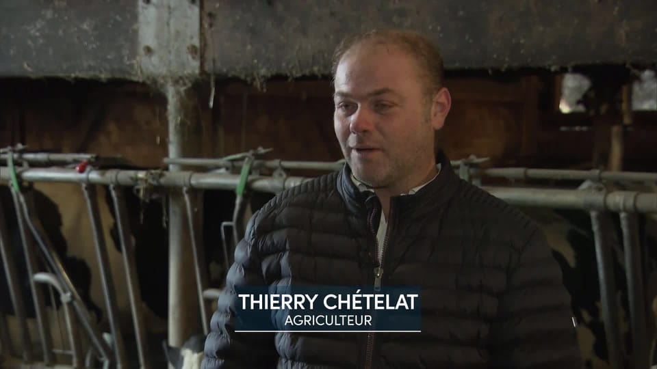 Couleurs locales - Entretien avec Thierry Chételat, agriculteur - Play RTS