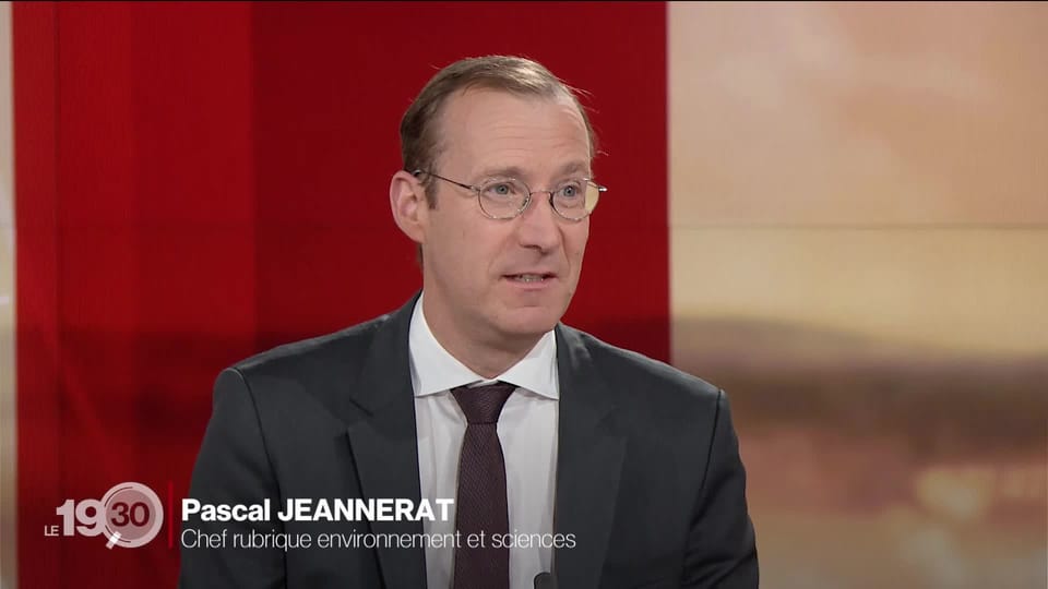 19h30 - Pascal Jeannerat revient sur la farine d'insecte qui remplace ...