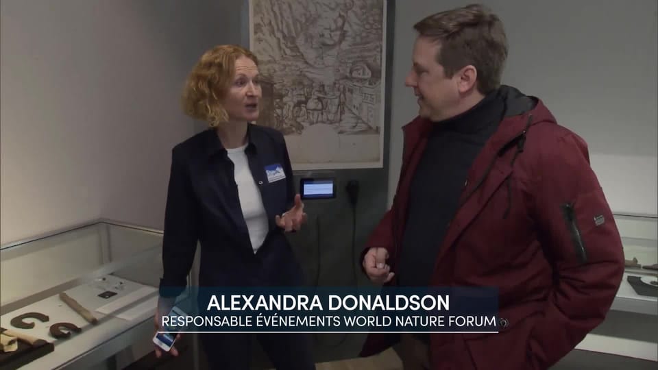 Couleurs locales - Entretien avec Alexandra Donaldson, responsable ...