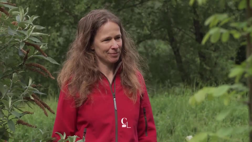 Couleurs locales - Entretien avec Barbara Molnar, biologiste pour le Service valaisan des forêts ...