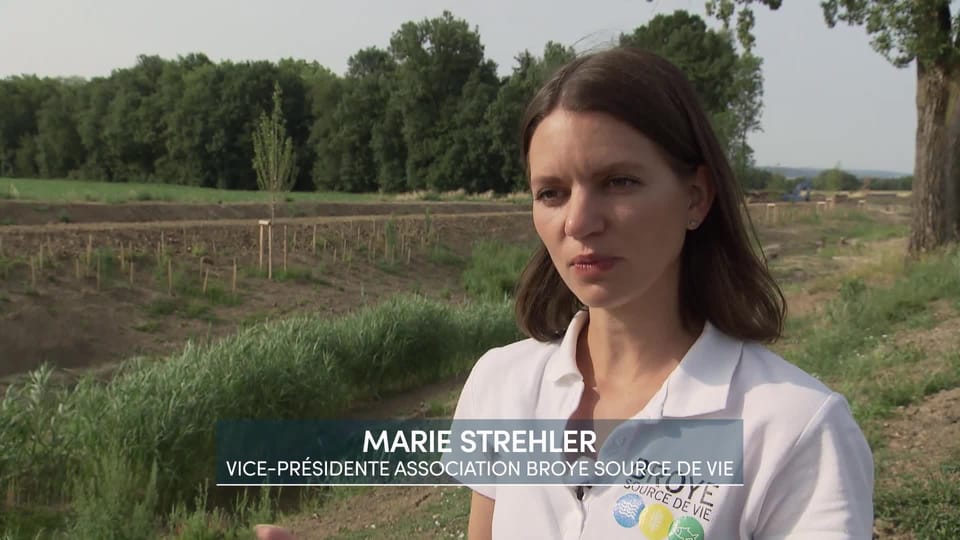 Couleurs d'été - Entretien avec Marie Strehler, vice-présidente de l ...